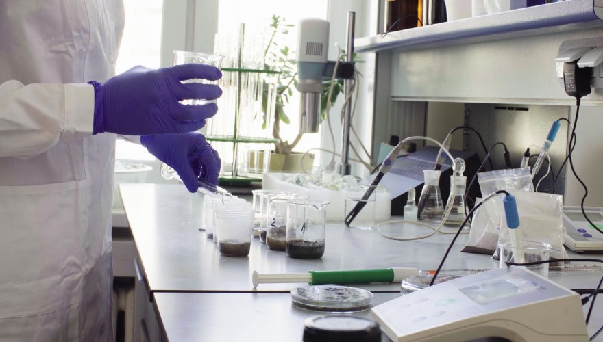 Grace College Majors & Minors - Grace College