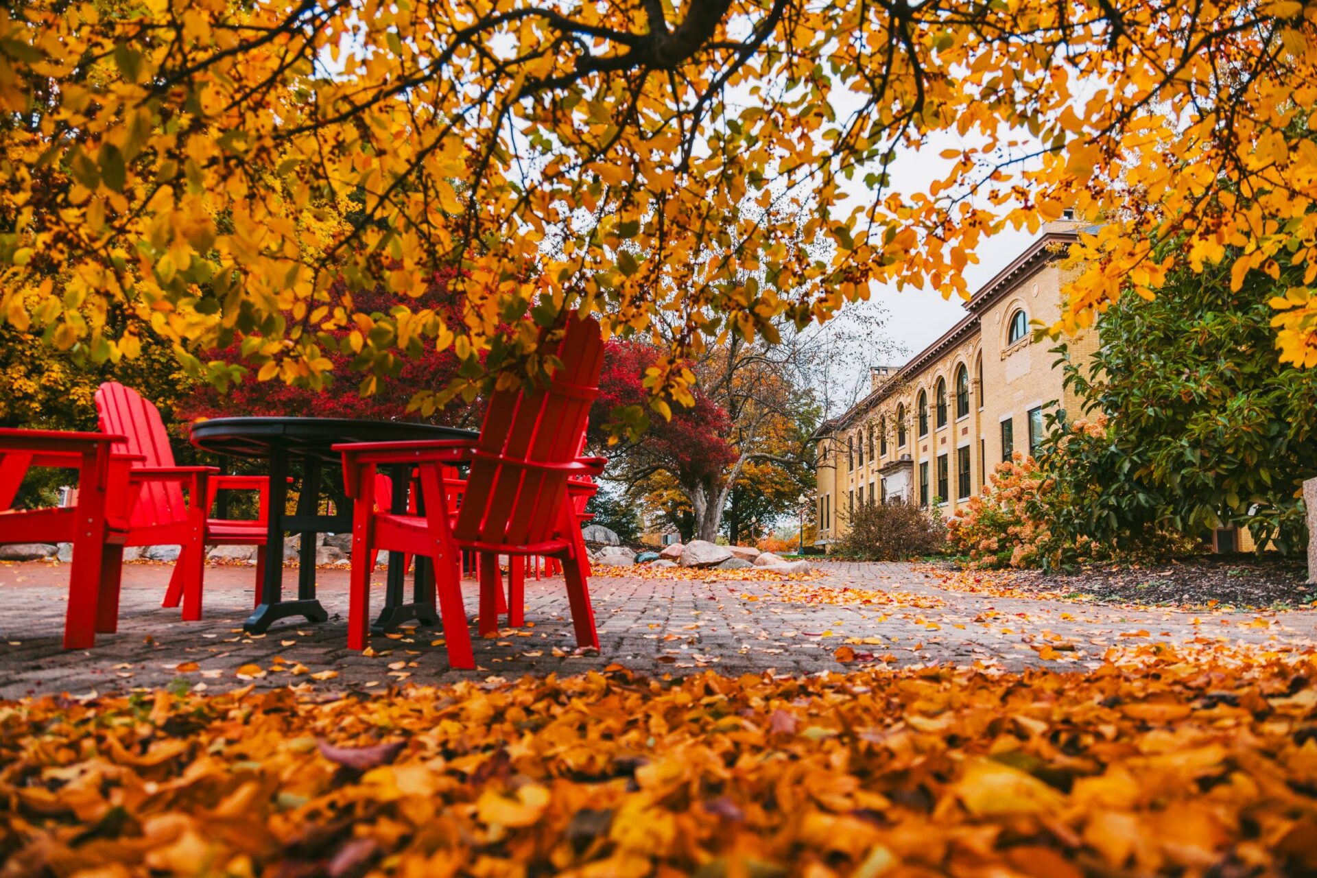 Your Day at Grace - Grace College - Schedule Today